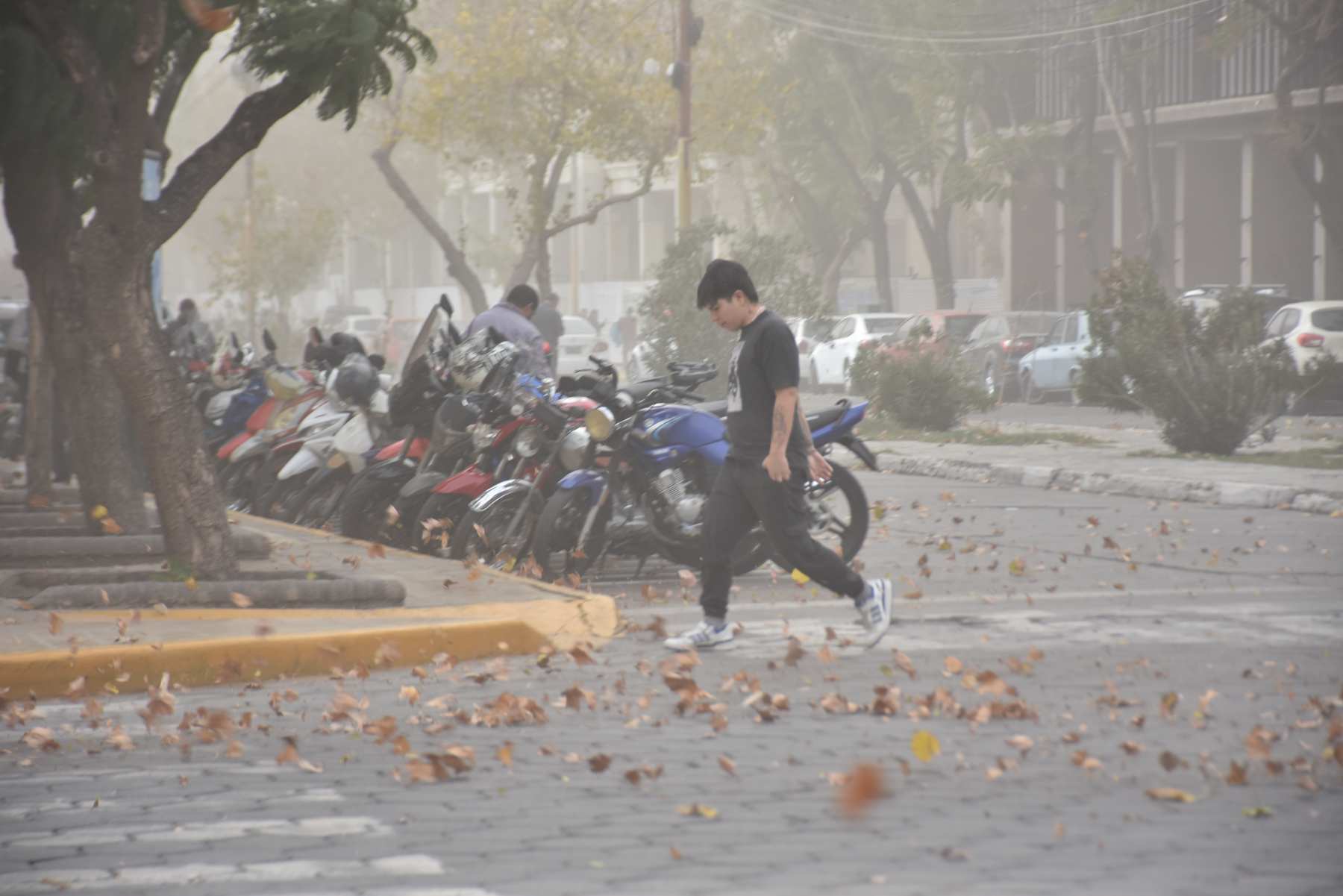 Así estará el tiempo en San Juan: Zonda fuerte y máxima de 29°