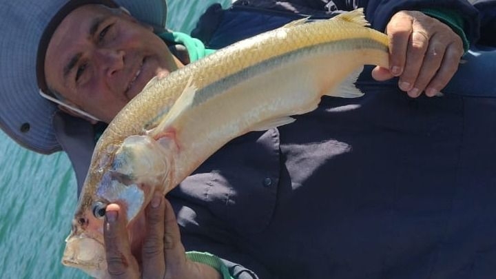 Un joven de San Juan pescó un pejerrey gigante en Punta Negra
