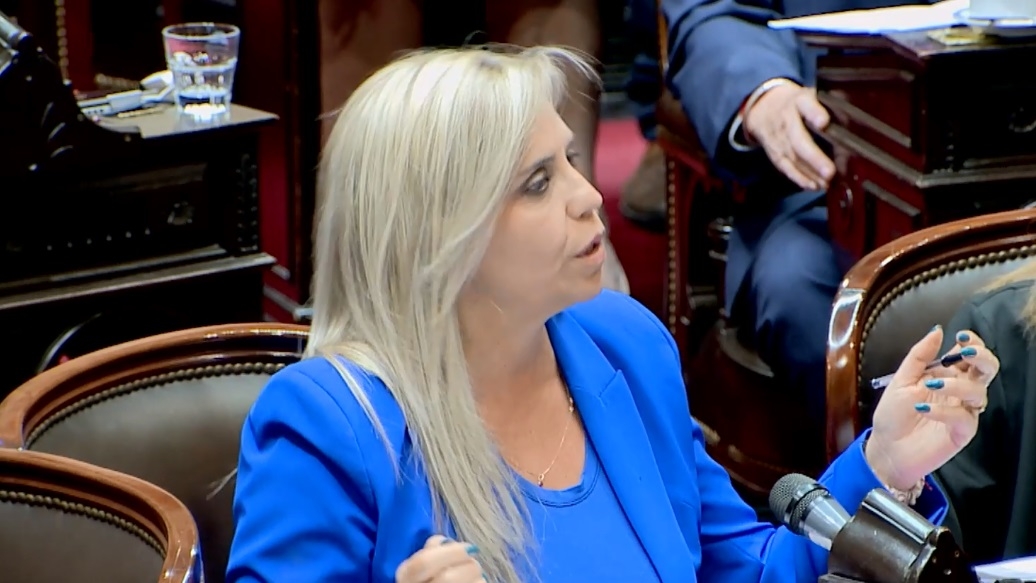 Nancy Picón cuestionó el veto de Milei a Ley Universitaria y Emergencia ...
