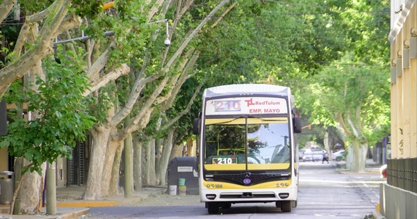 El boleto de colectivo sube a $810 desde el 1 de julio